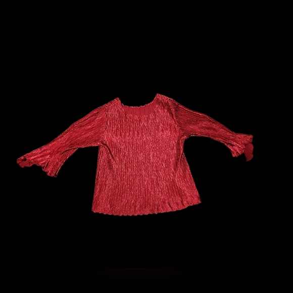 cazza petite | Tops | Cazza Petite Xl Vinage Red Pliss Ruffle Blouse ...